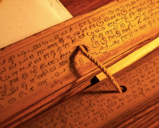 Self Discovery With Palm Leaf Libraries Mayan Horoscope Blog